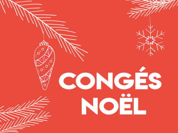 Congés de Noël 2018 - Bonnes vacances | La guilde du dé